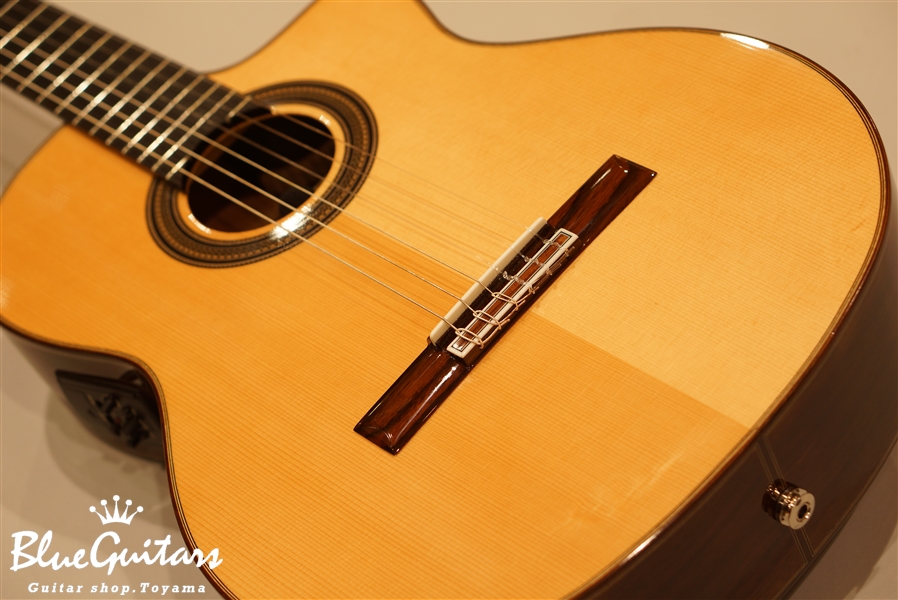 ARIA A-60CWE | Blue Guitars Online Store