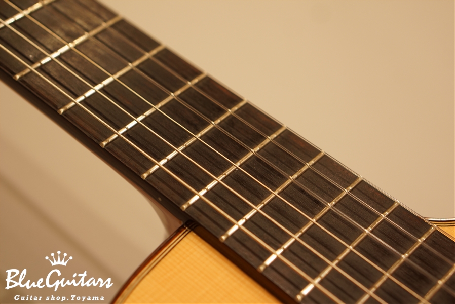 ARIA A-60CWE | Blue Guitars Online Store