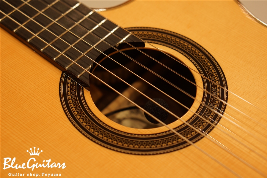 ARIA A-60CWE | Blue Guitars Online Store