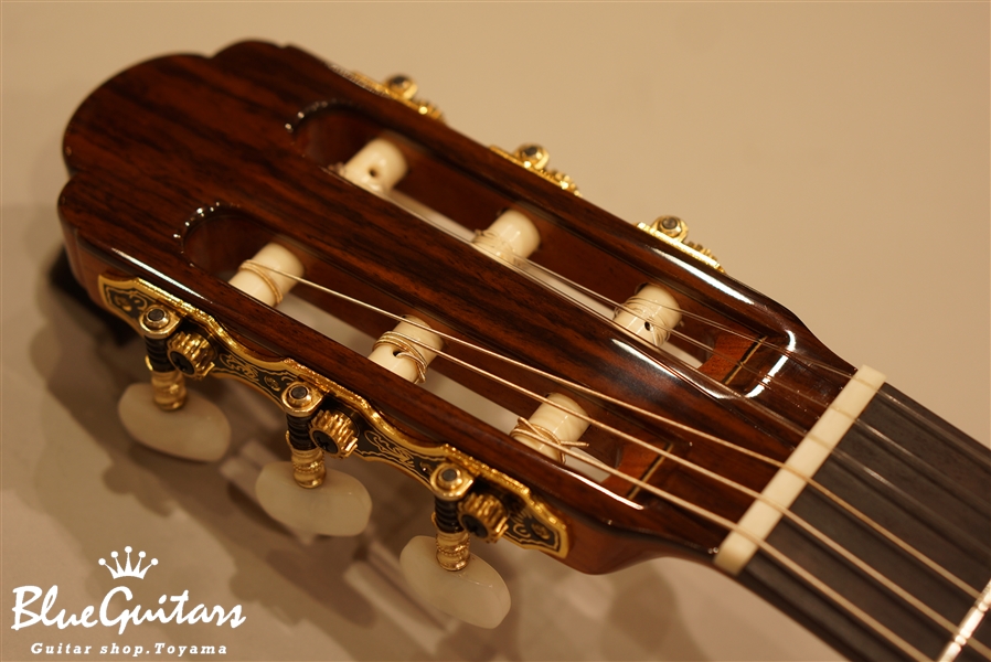 ARIA A-60CWE | Blue Guitars Online Store