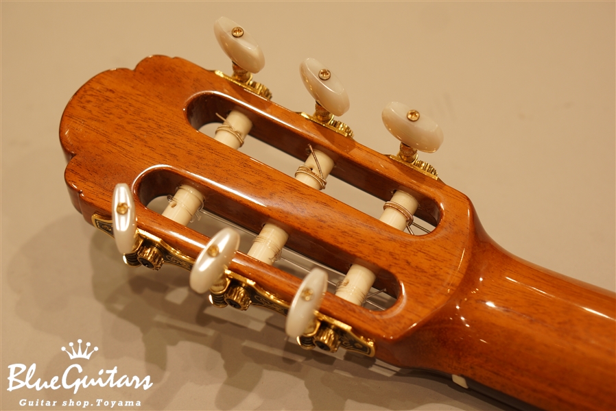 ARIA A-60CWE | Blue Guitars Online Store