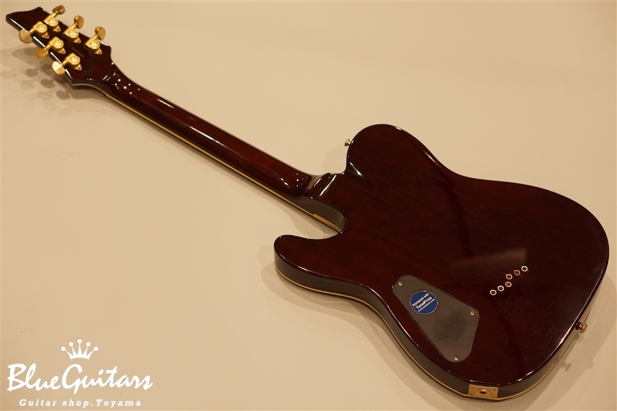 SCHECTER PT-Custom | Blue Guitars Online Store