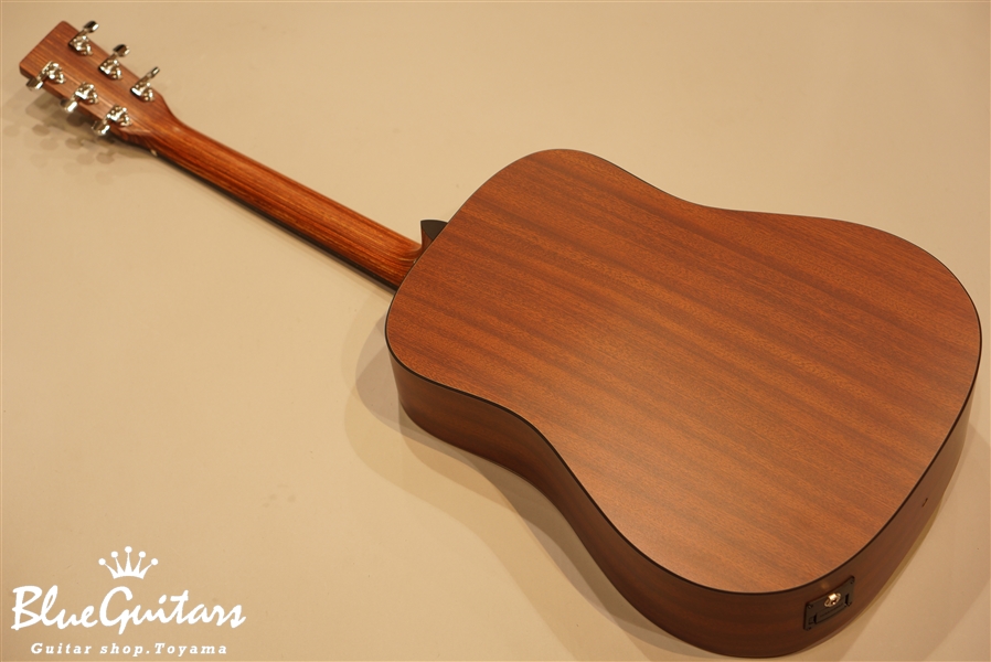 Martin DX1AE | Blue Guitars Online Store