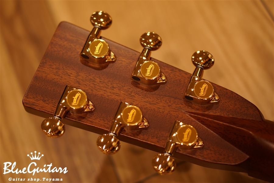 HEADWAY HF-SAKURA/STD | Blue Guitars Online Store