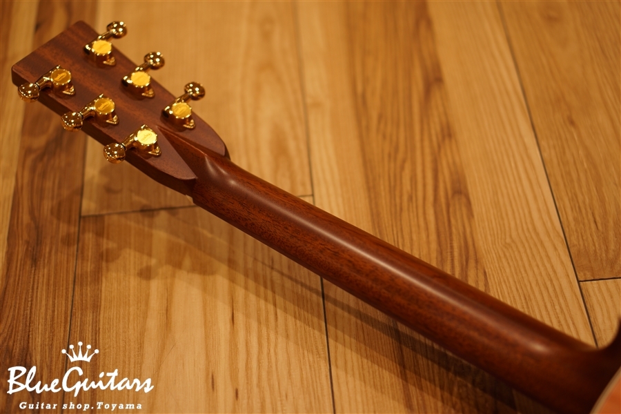 HEADWAY HF-SAKURA/STD | Blue Guitars Online Store