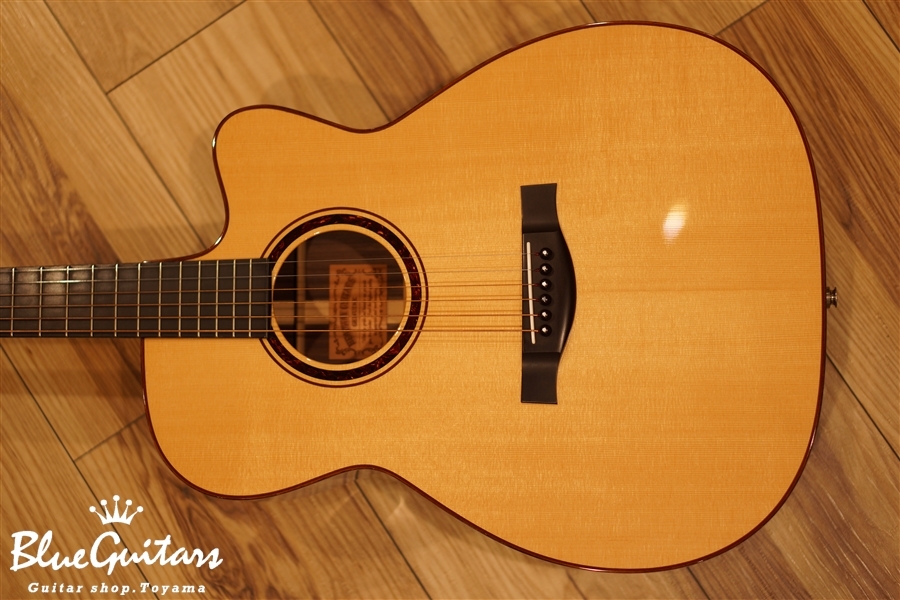 HEADWAY HC-501 | Blue Guitars Online Store