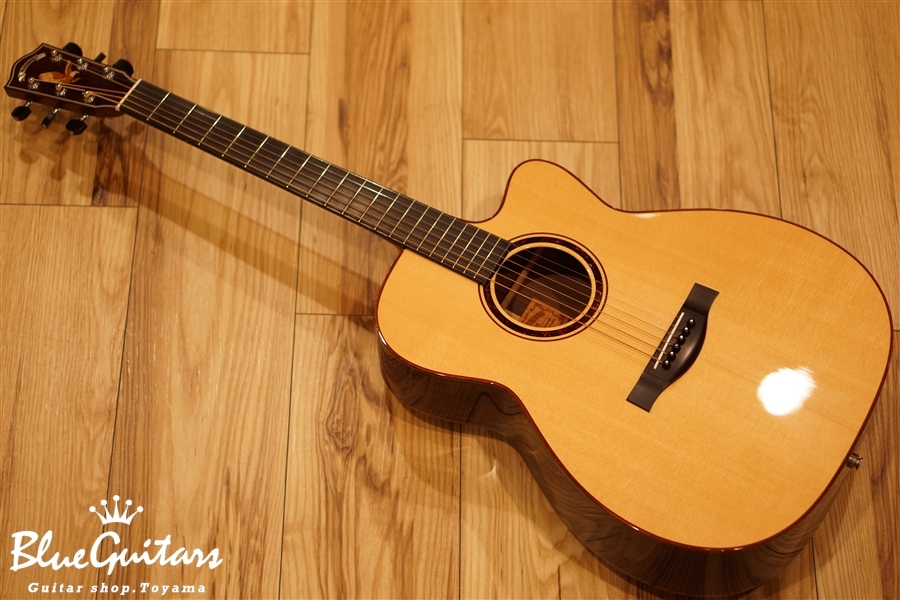 HEADWAY HC-501 | Blue Guitars Online Store