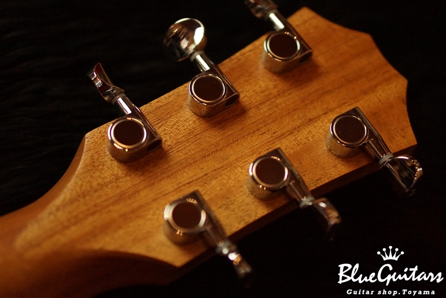 Taylor GS Mini-e Walnut | Blue Guitars Online Store