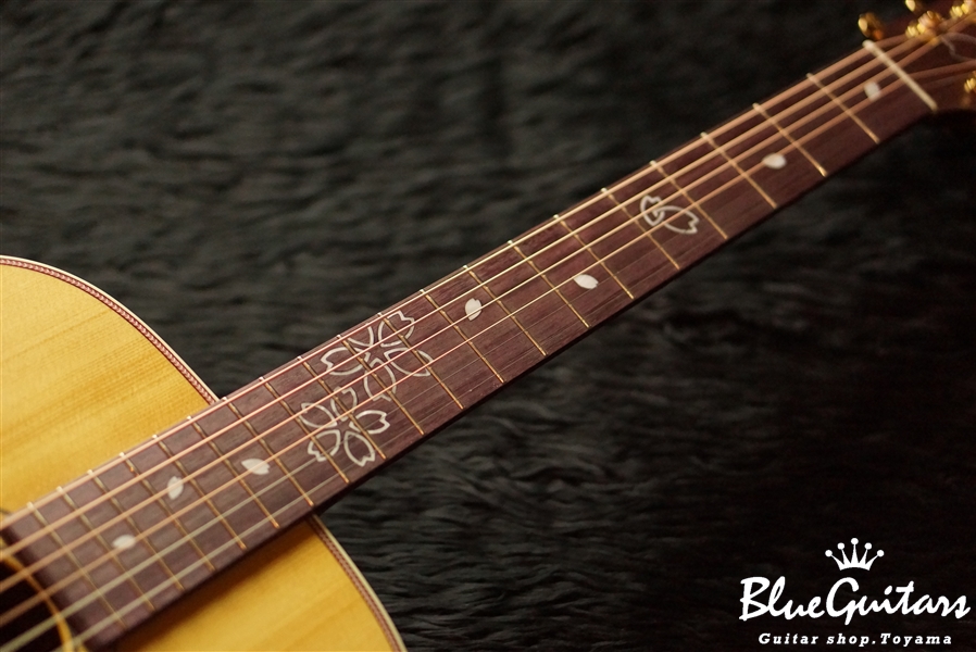 HEADWAY HF-SAKURA DX/STD | Blue Guitars Online Store