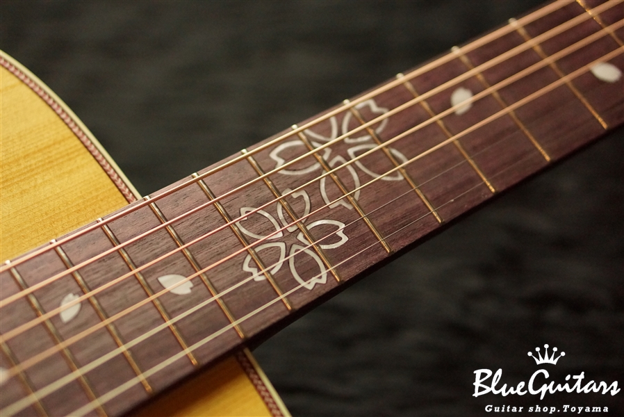 HEADWAY HF-SAKURA DX/STD | Blue Guitars Online Store