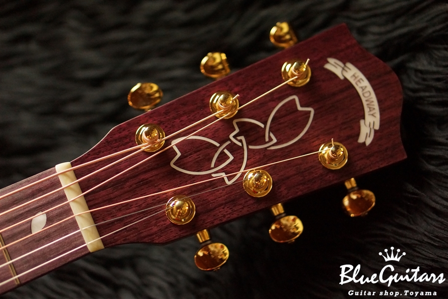 HEADWAY HF-SAKURA DX/STD | Blue Guitars Online Store