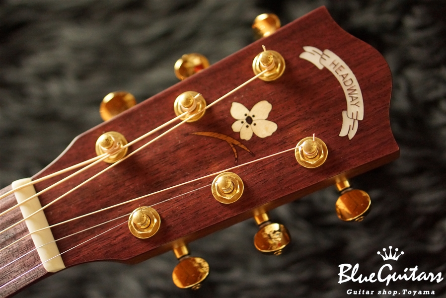 HEADWAY HC-SAKURA/STD | Blue Guitars Online Store