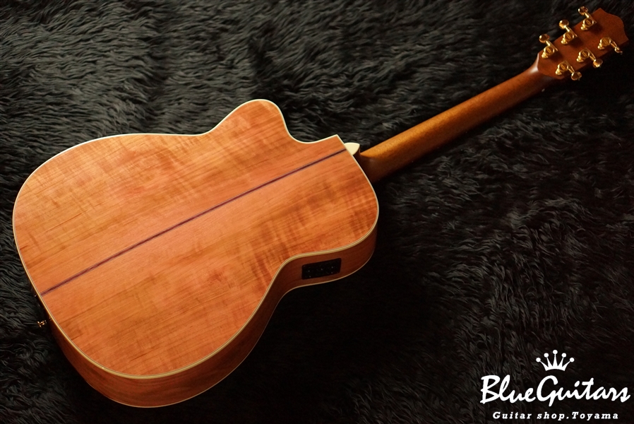 HEADWAY HC-SAKURA/STD | Blue Guitars Online Store