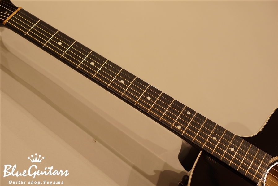 Taylor 214ce - Black Maple | Blue Guitars Online Store
