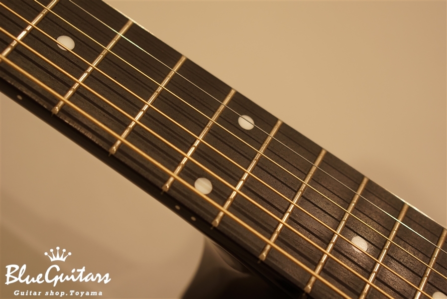 Taylor 214ce - Black Maple | Blue Guitars Online Store