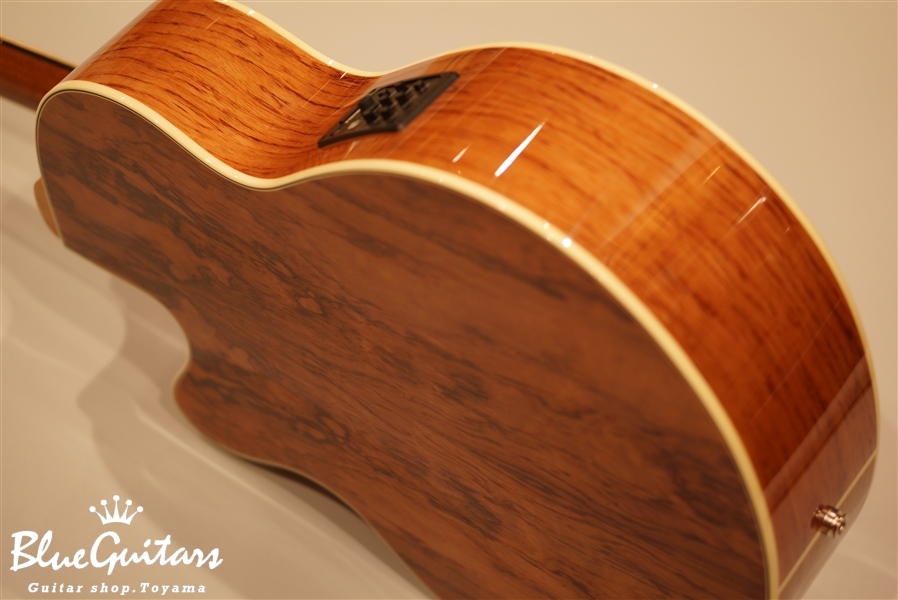 Warwick Rock Bass Alien Deluxe 4st | Blue Guitars Online Store