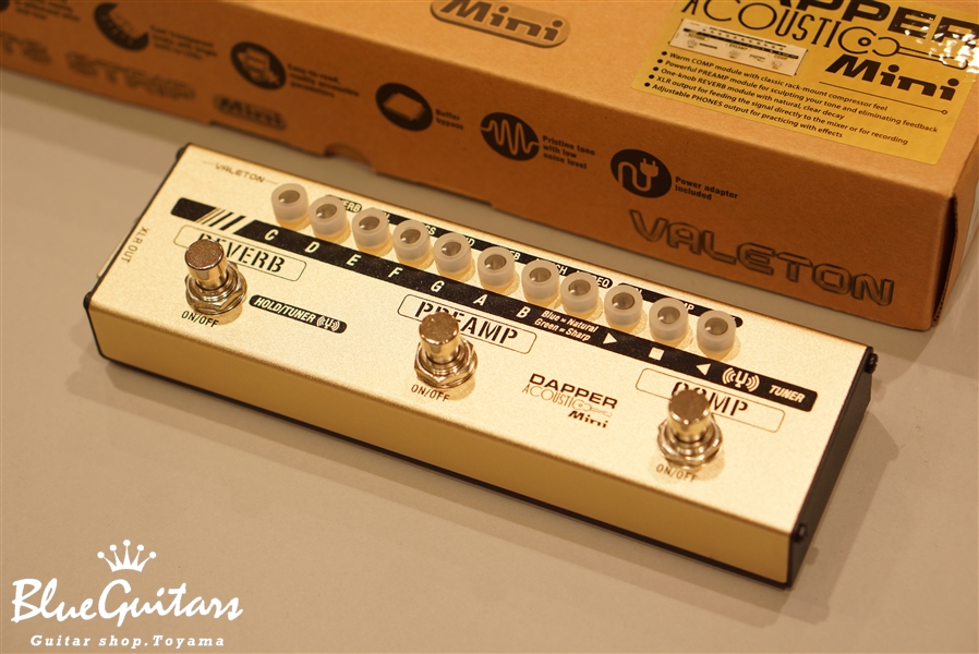 VALETON Dapper Acoustic Mini | Blue Guitars Online Store