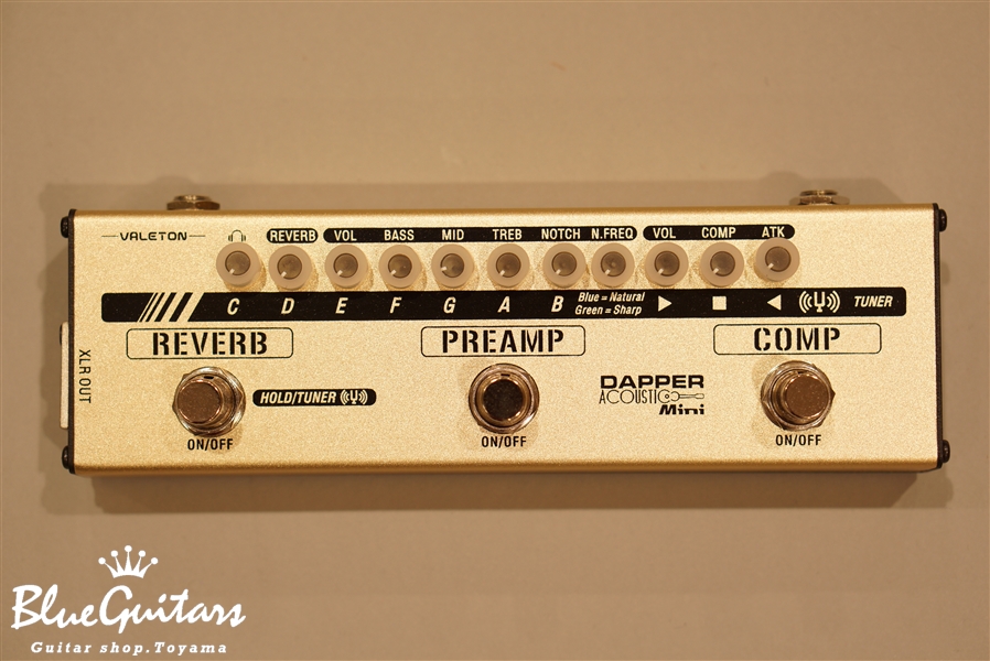 VALETON Dapper Acoustic Mini | Blue Guitars Online Store