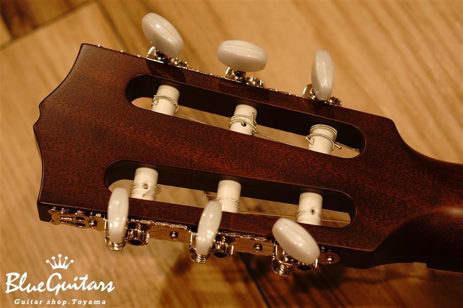 HEADWAY HC-GUT/STD | Blue Guitars Online Store