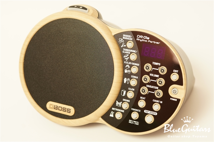 BOSS DR-01S Rhythm Partner | Blue Guitars Online Store