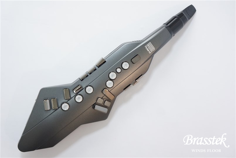 Roland Aerophone GO AE-05 | Brasstek Online Store