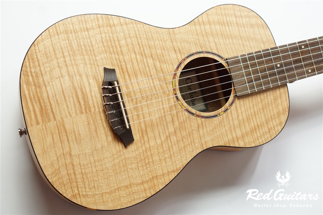 Cordoba Mini II FMH | Red Guitars Online Store