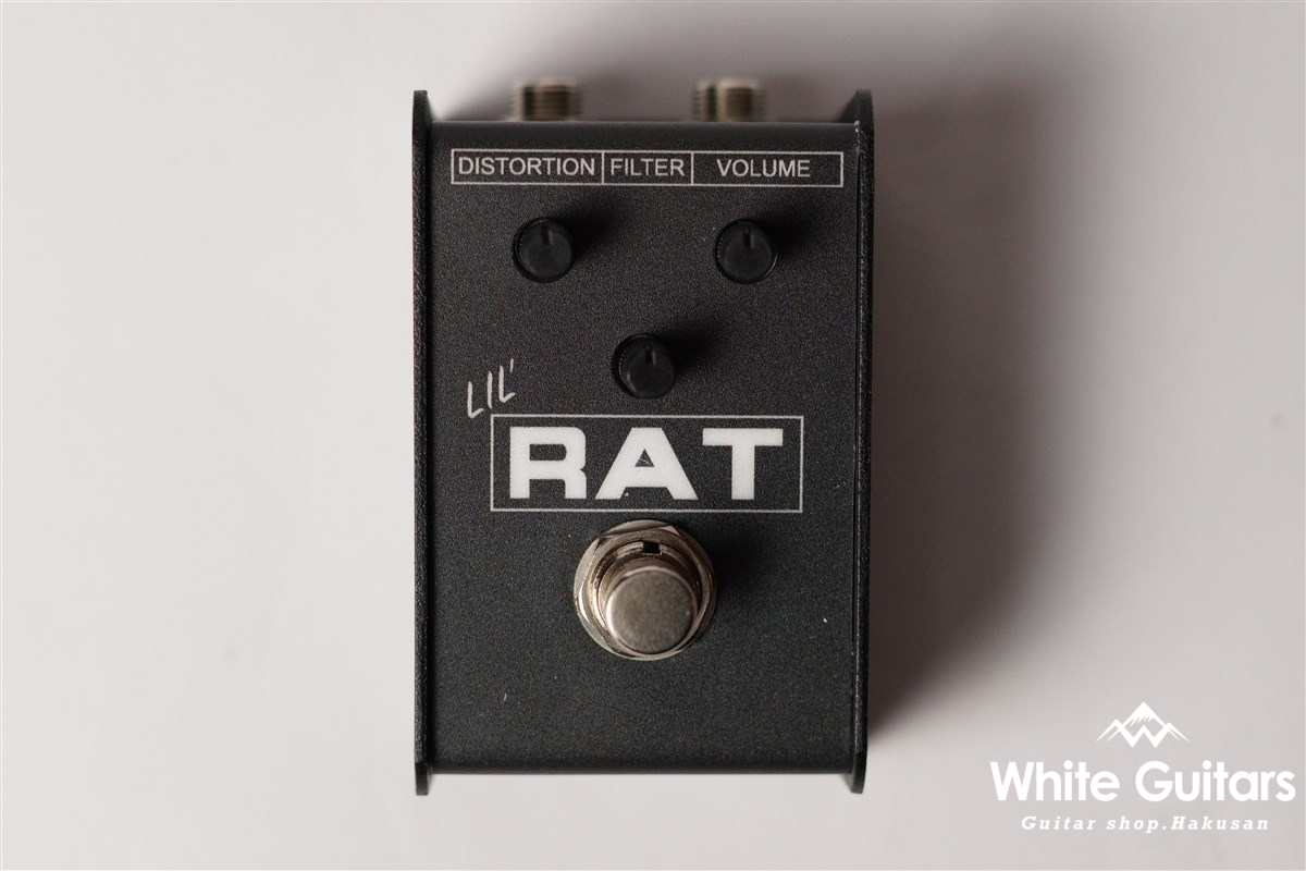 Pro Co LIL’ RAT | White Guitars Online Store