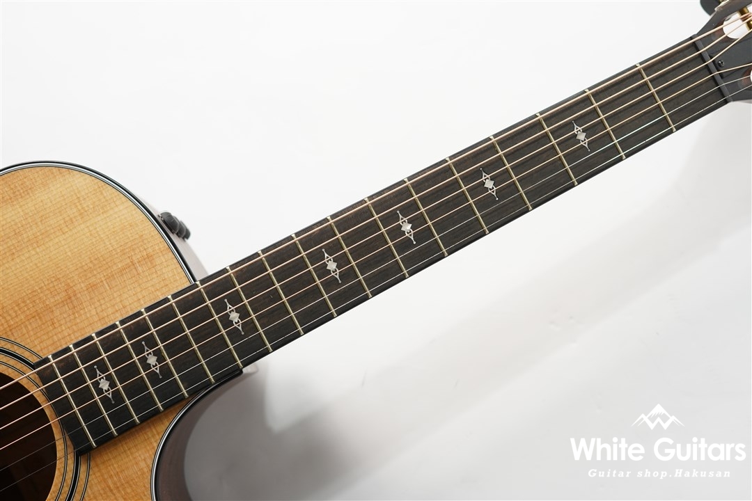 Taylor 312ce 12Fret V-Class | White Guitars Online Store