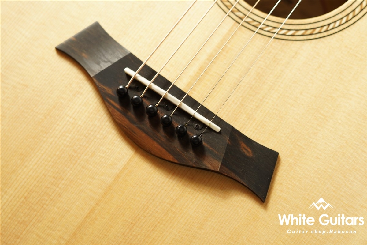 Taylor Academy 12e | White Guitars Online Store