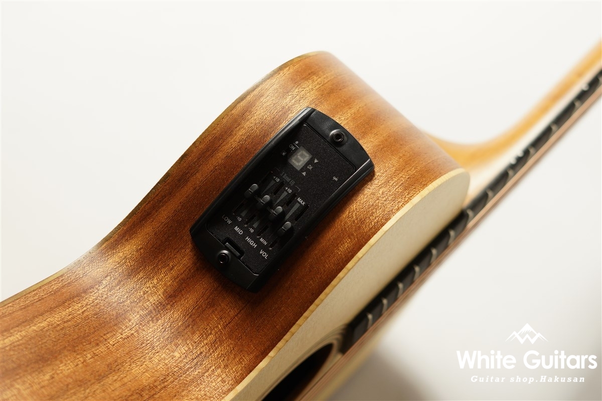 Taylor Academy 12e | White Guitars Online Store