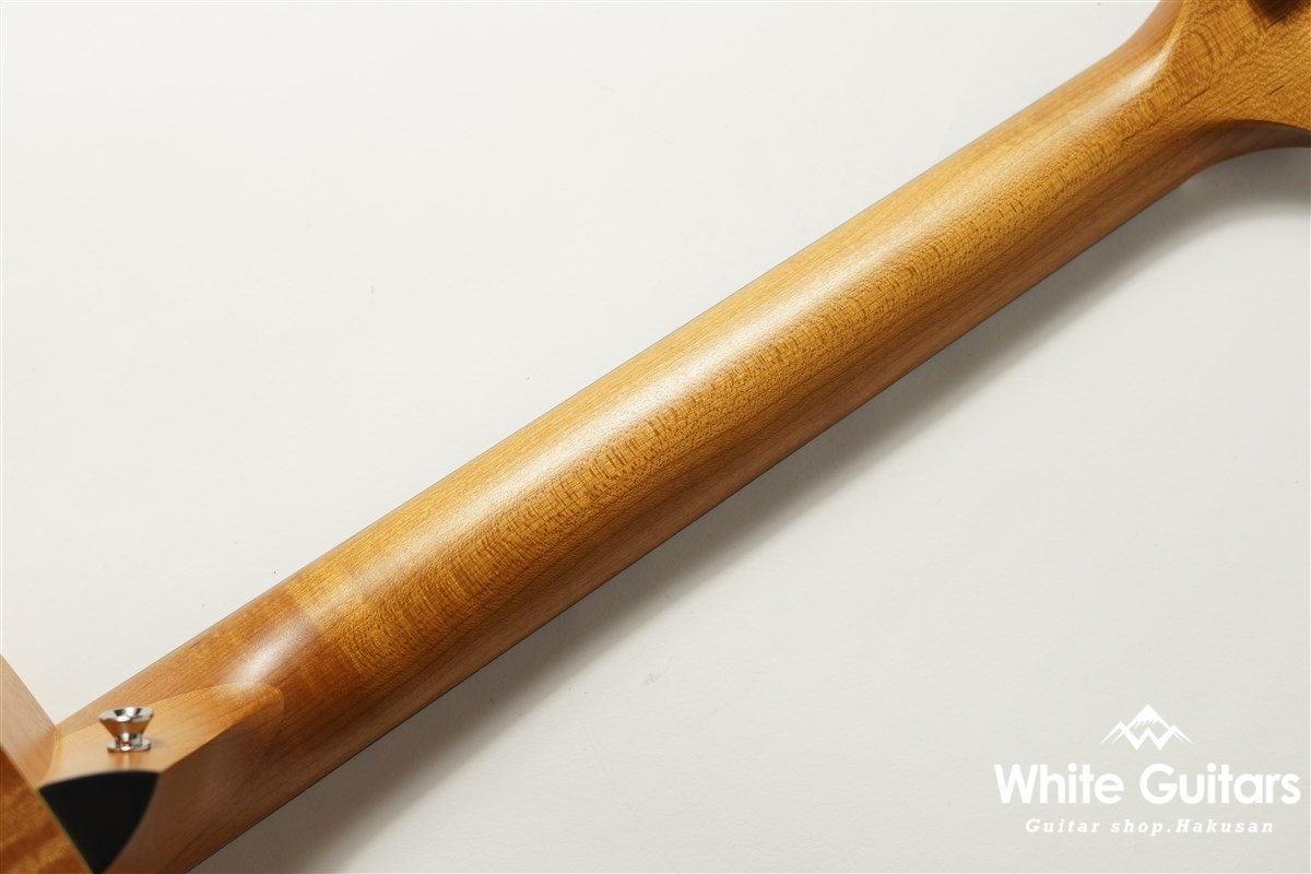 Taylor Academy 12e | White Guitars Online Store