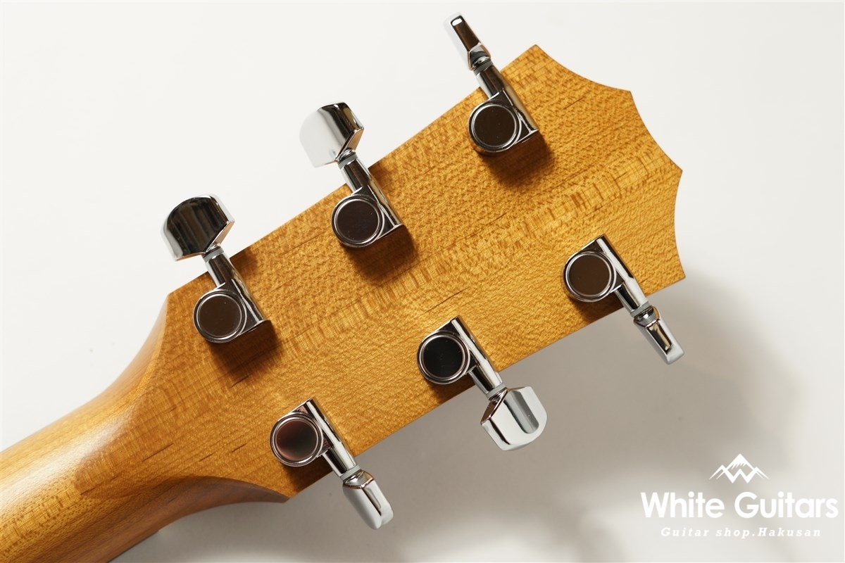 Taylor Academy 12e | White Guitars Online Store